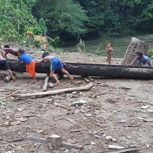 Necesidades Actuales - Fundación Wájaro