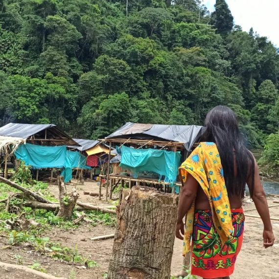 Necesidades Actuales - Fundación Wájaro